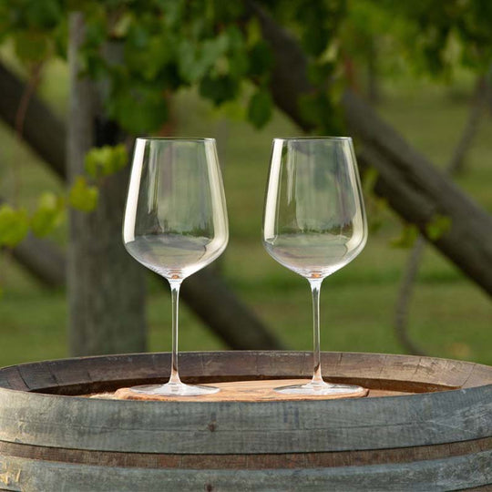 MAGNUM – BigWineGlasses.com