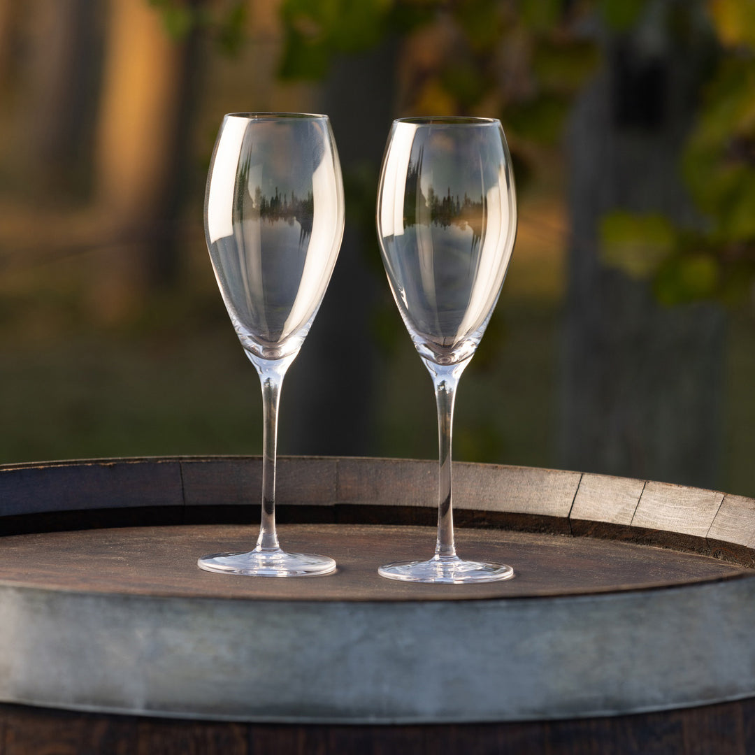 DEMI – BigWineGlasses.com